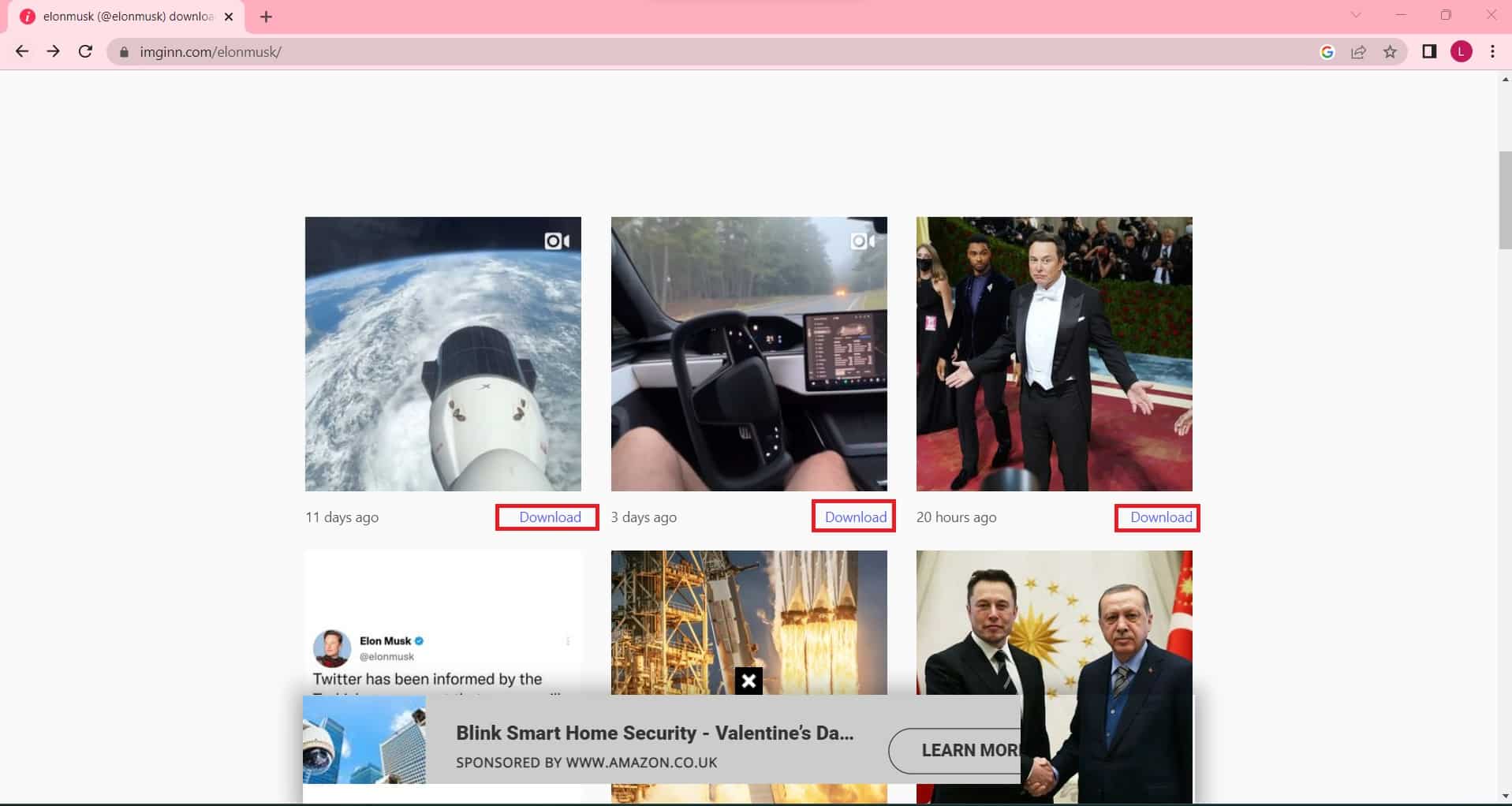 Imginn Instagram Viewer And Downloader All Things You Need To Know ...