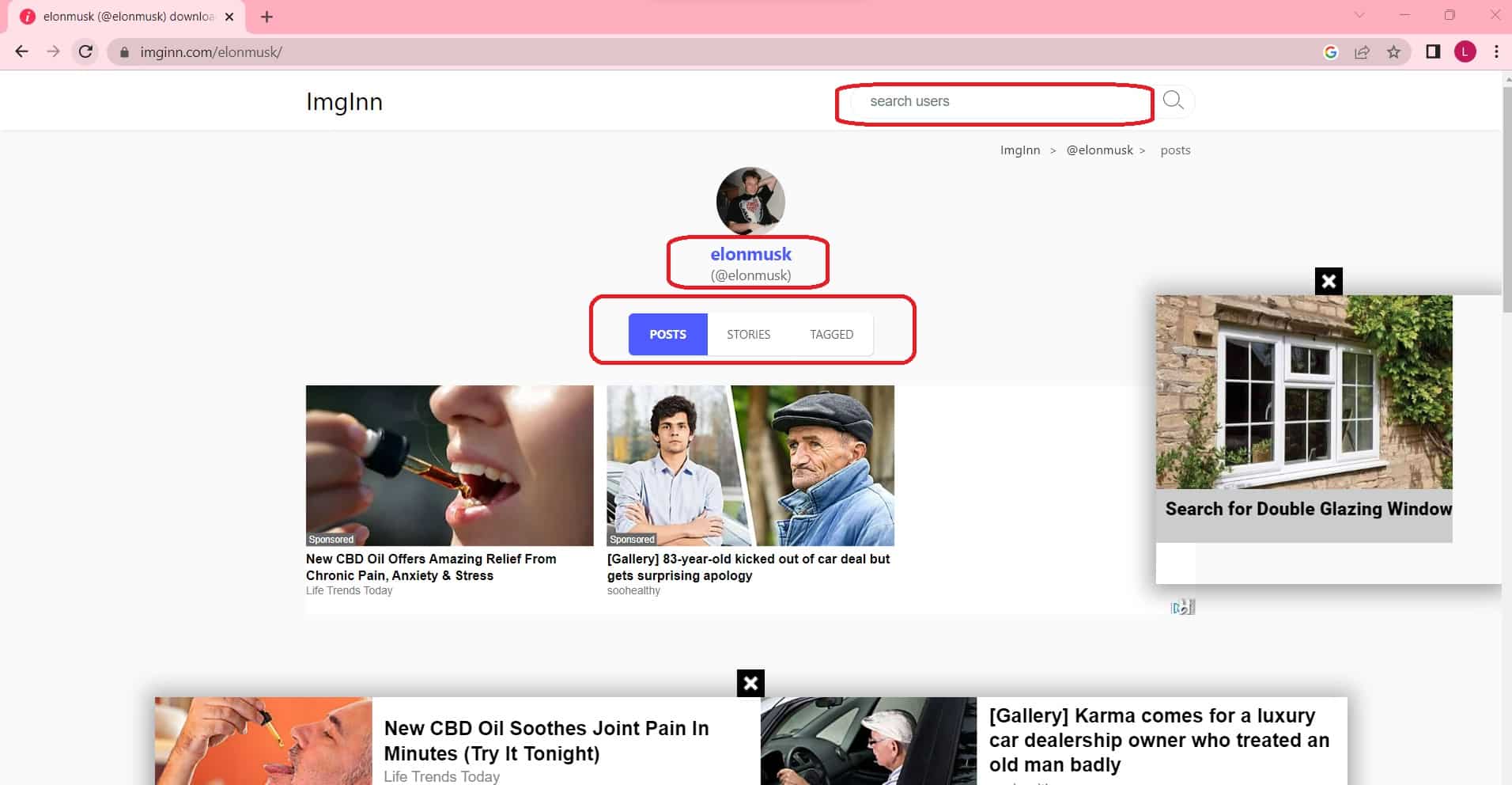 Imginn Instagram Viewer And Downloader All Things You Need To Know ...